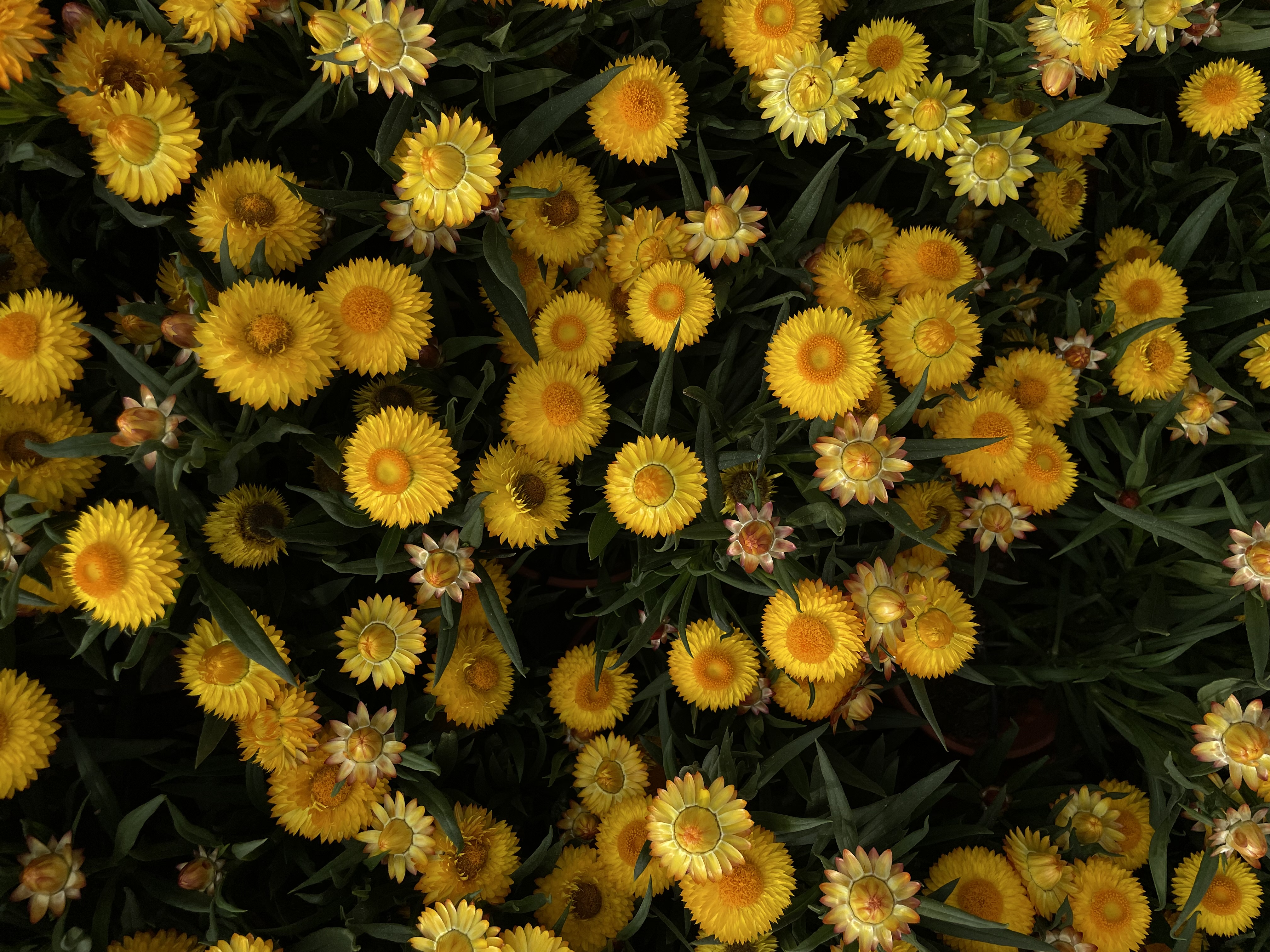 Mindfulness Instruction